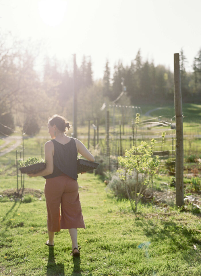 Spring on the Homestead in Bellingham, WA — Noctua Florals